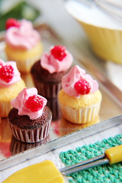 The Cupcake Project, 5: Raspberry Fields